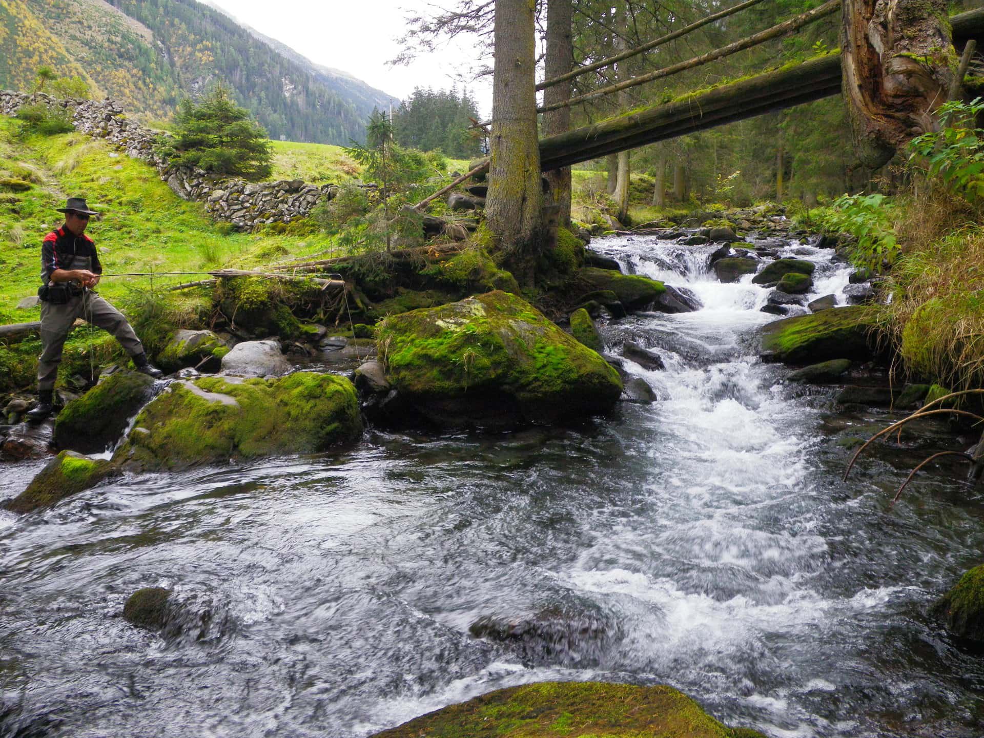 Amerbach - Hotel Bräurup Fischerei